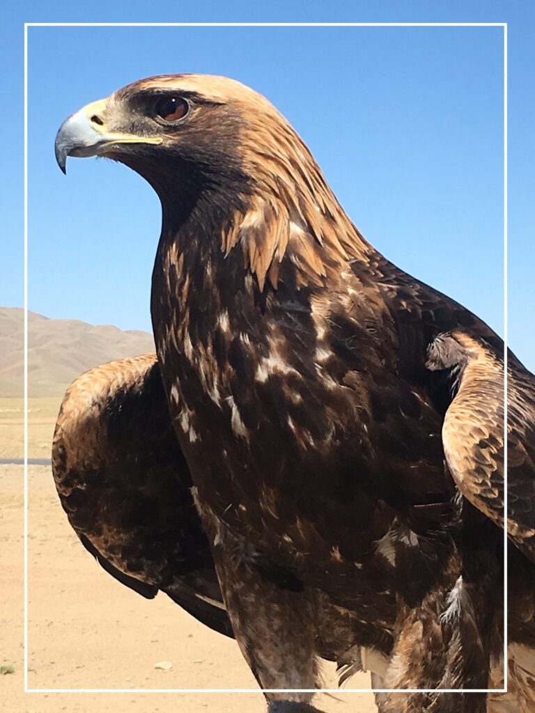 Contact Us | Inverted Atlas