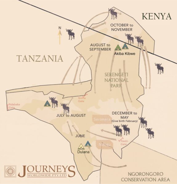 The Great Migration | Inverted Atlas